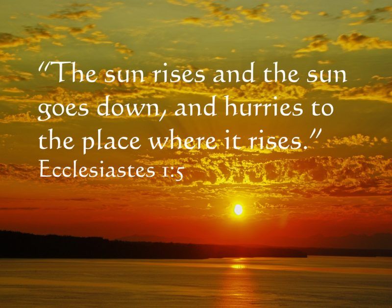 Prediker - Hoofdstuk 1 - Water in de Woestijn